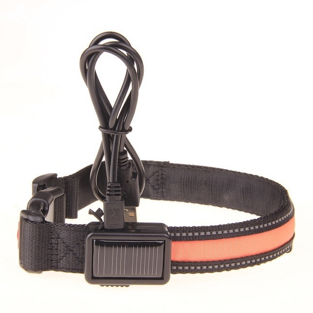 Rechargeable LED lights collar – Leap pharm