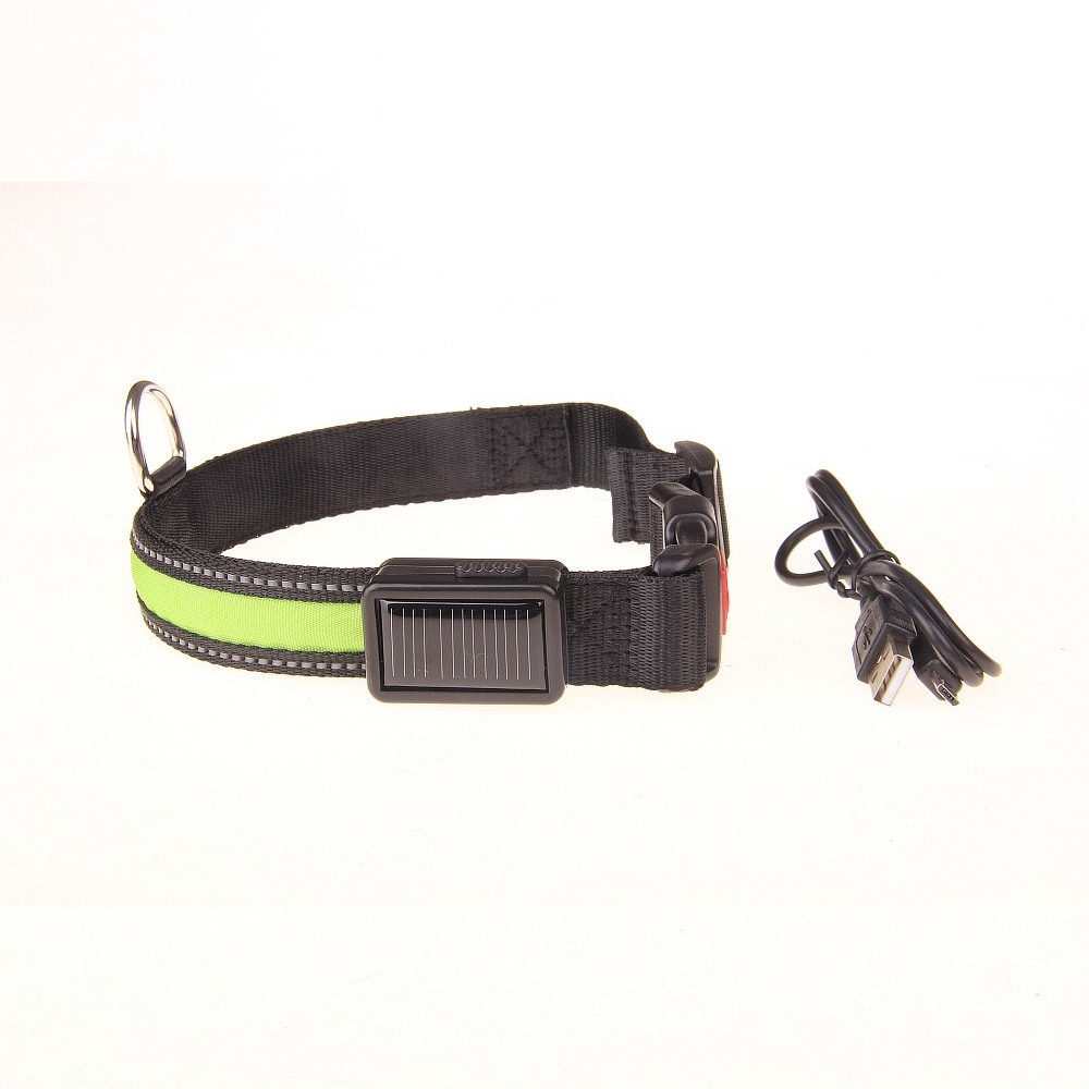 Rechargeable LED lights collar – Leap pharm