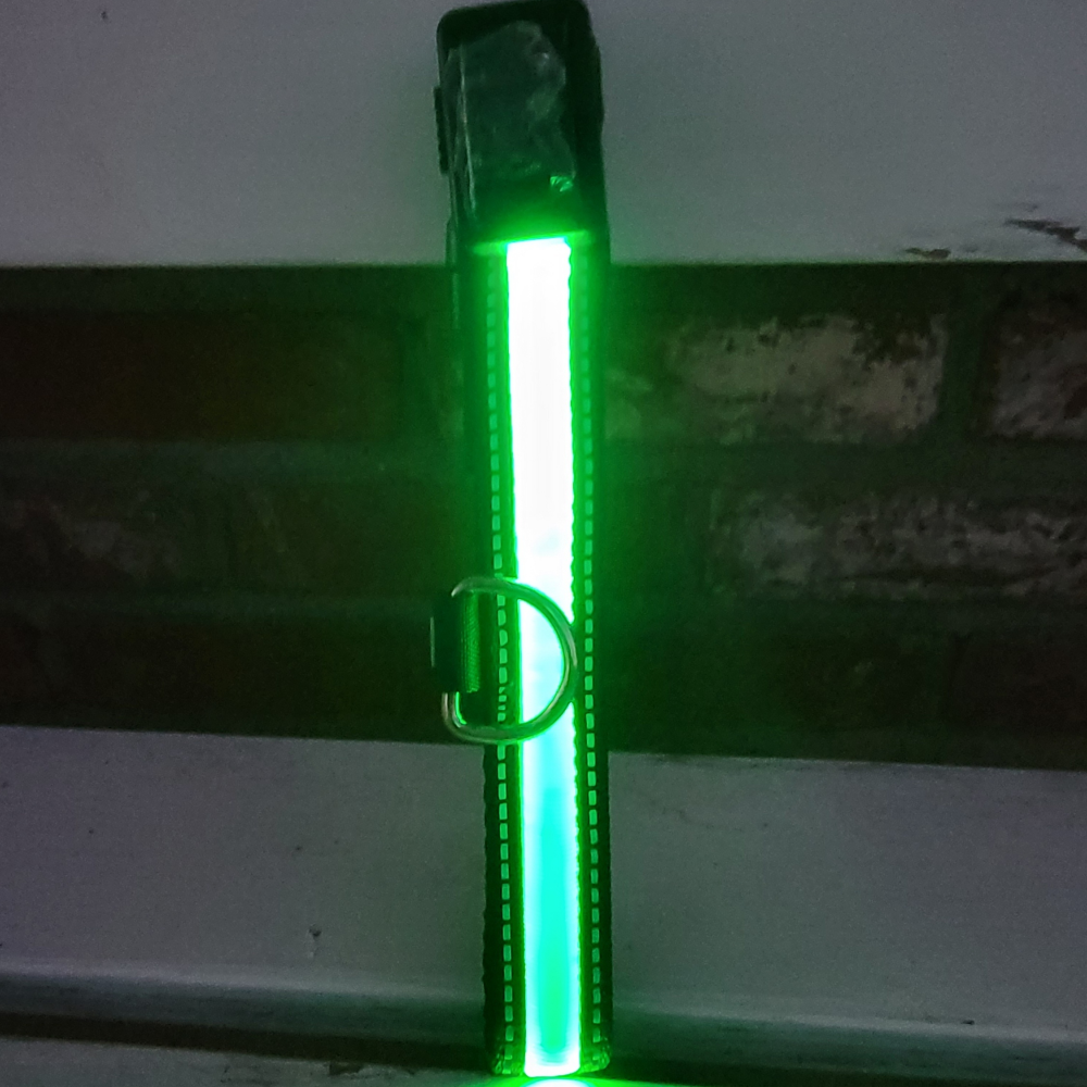 Rechargeable LED lights collar – Leap pharm