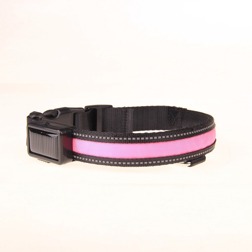 Rechargeable LED lights collar – Leap pharm